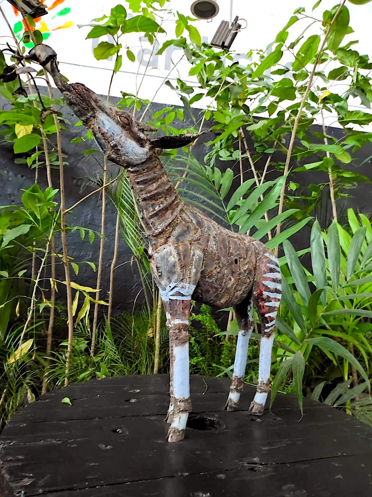 Artist | Simplus Ntoto | Background and Portfolio