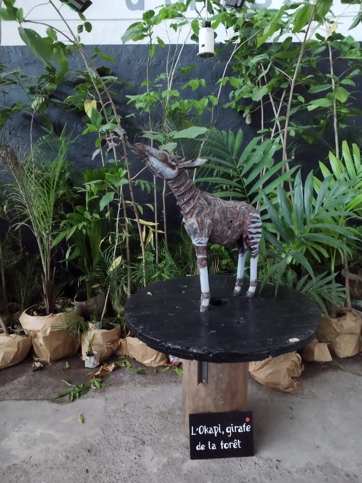 Artist | Simplus Ntoto | Background and Portfolio